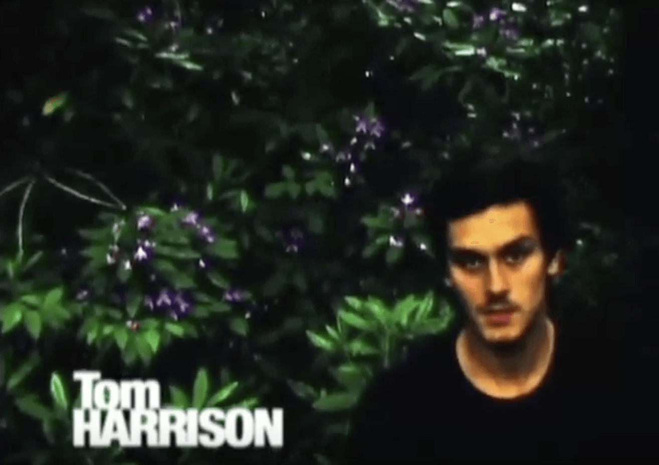 Throwback Thursday - Tom Harrison 'Sidewalk - In Progress' - Vague