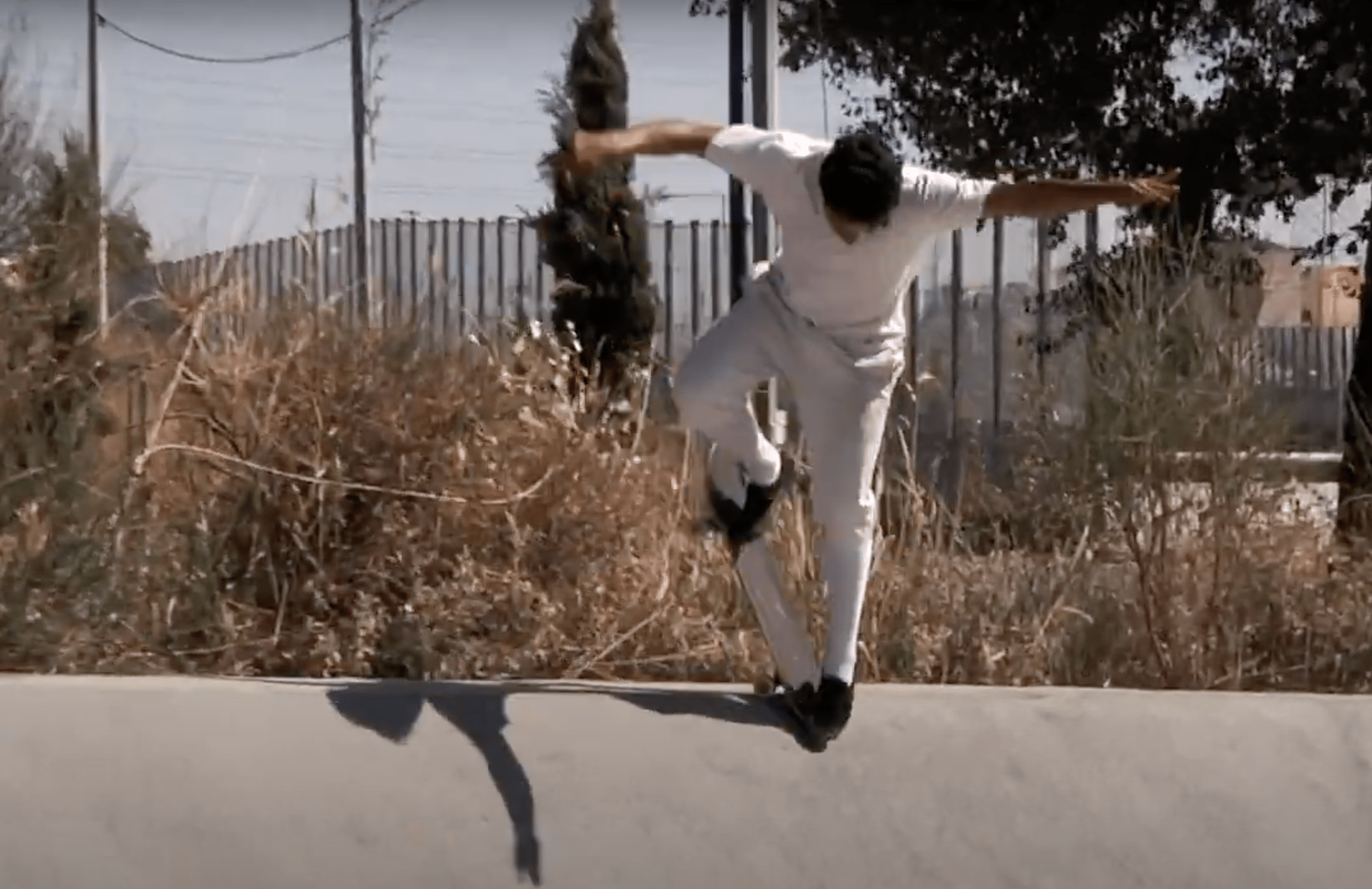 Birdman Jr. II - Sam Sitayeb - Vague