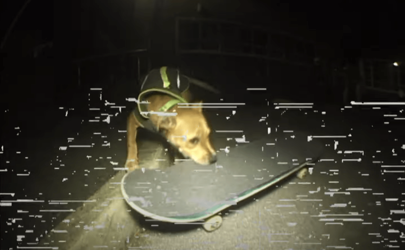 Go Skateboarding Day 2023: North Wales - Vague