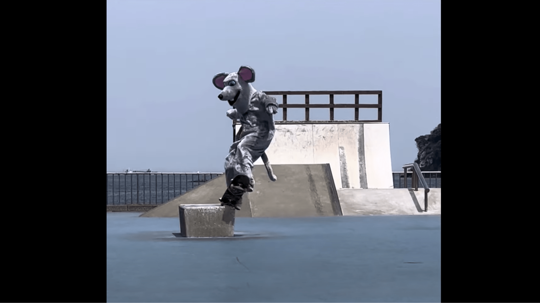 SQUEAK SQUEAK... - Japanese super rat - Vague