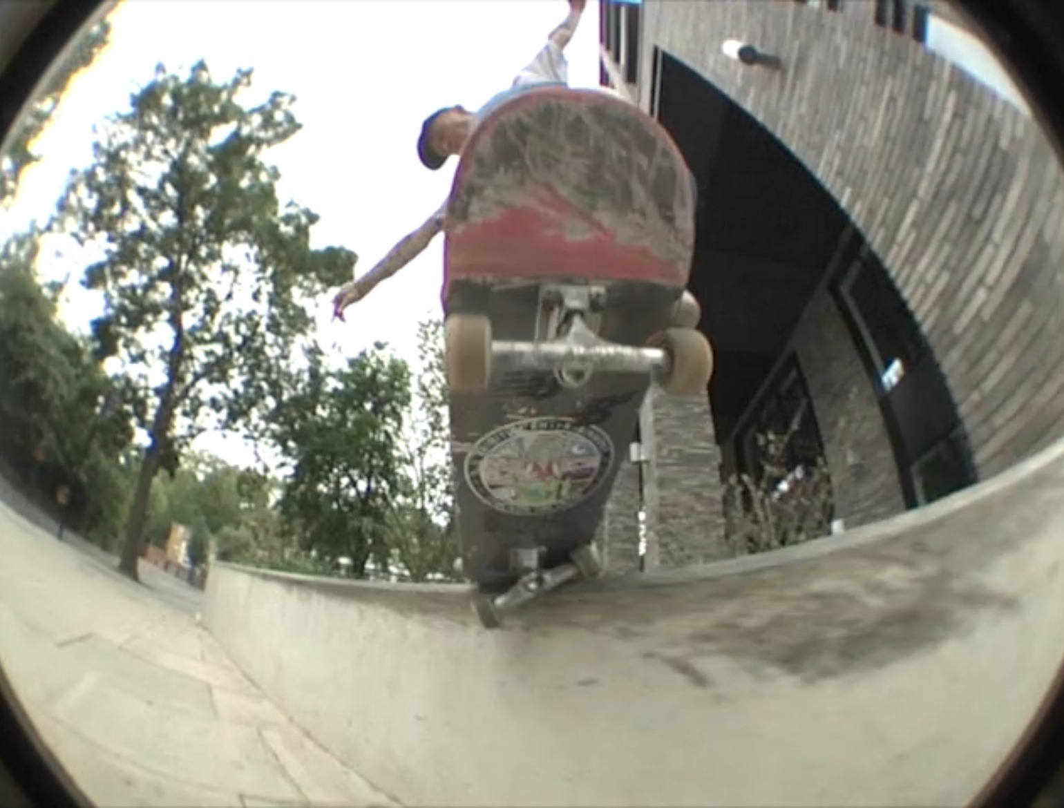 Charlie Munro || Quick Cuts - Vague